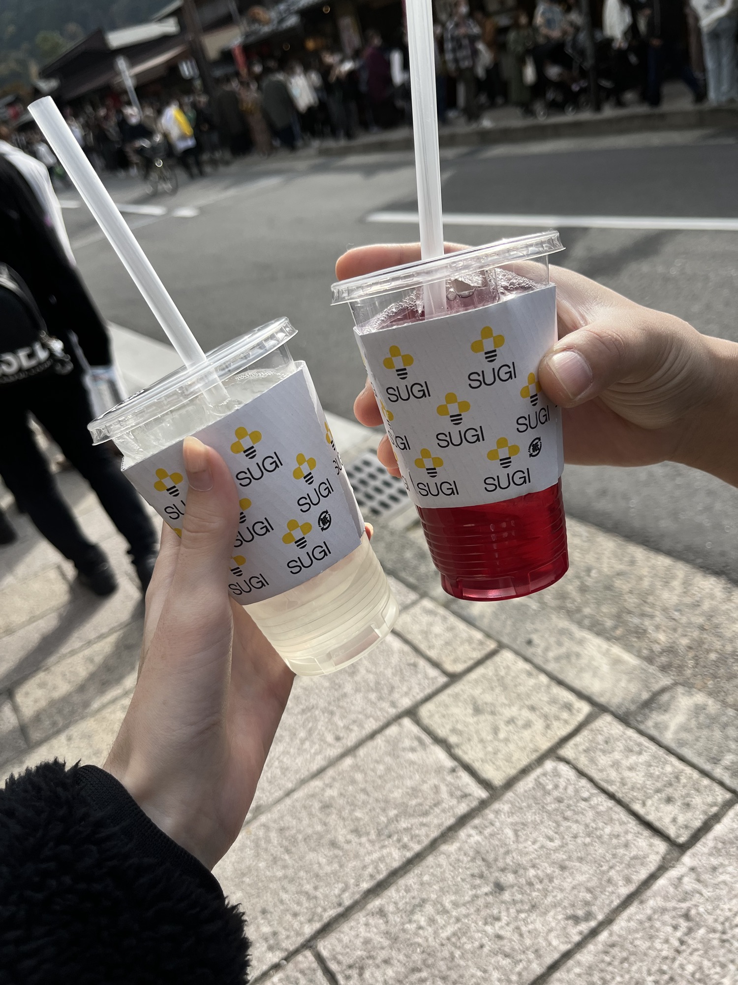 Sugi Bee Garden – Japanese Cafe Recommendation – Maddies Manga