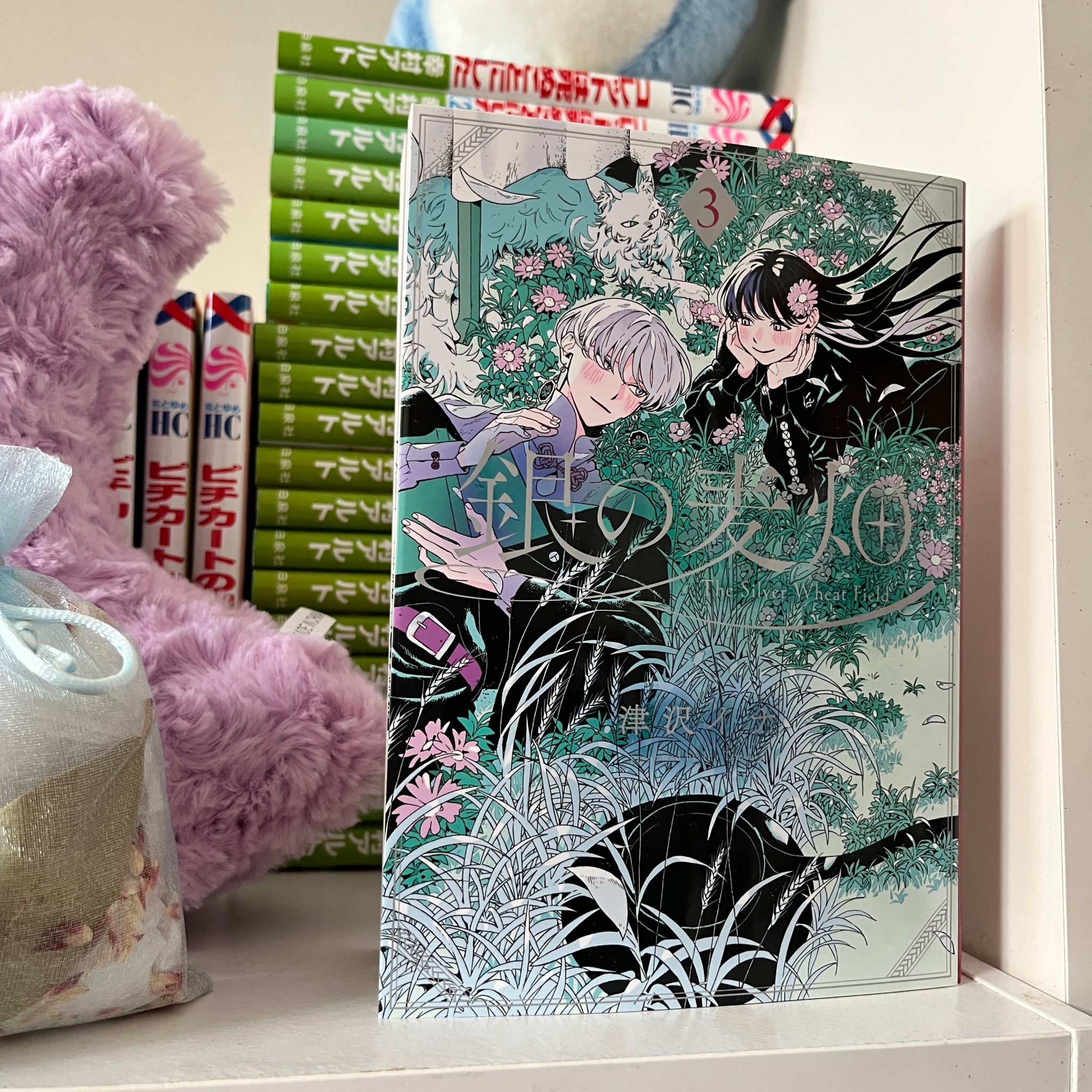 Maddies Manga – Let's talk about all things manga, and shoujo!
